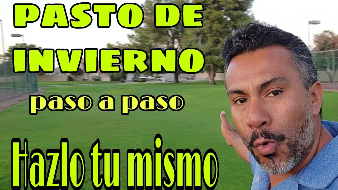 Pasto de Invierno , Winter grass step by step.Hazlo tu mismo. - YouTube