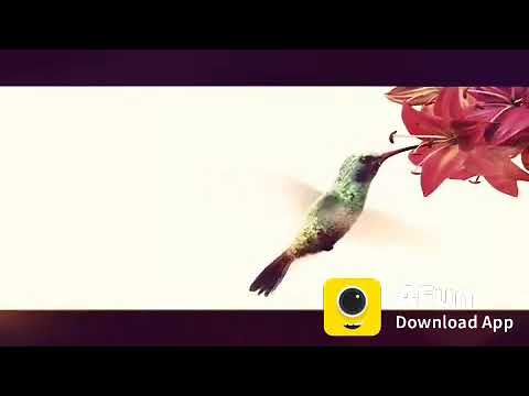 Ari channel - YouTube