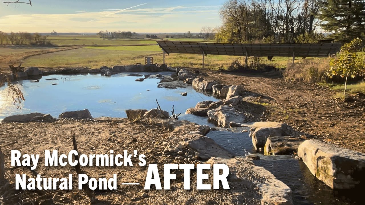 Ray McCormick’s Natural Pond — AFTER - YouTube