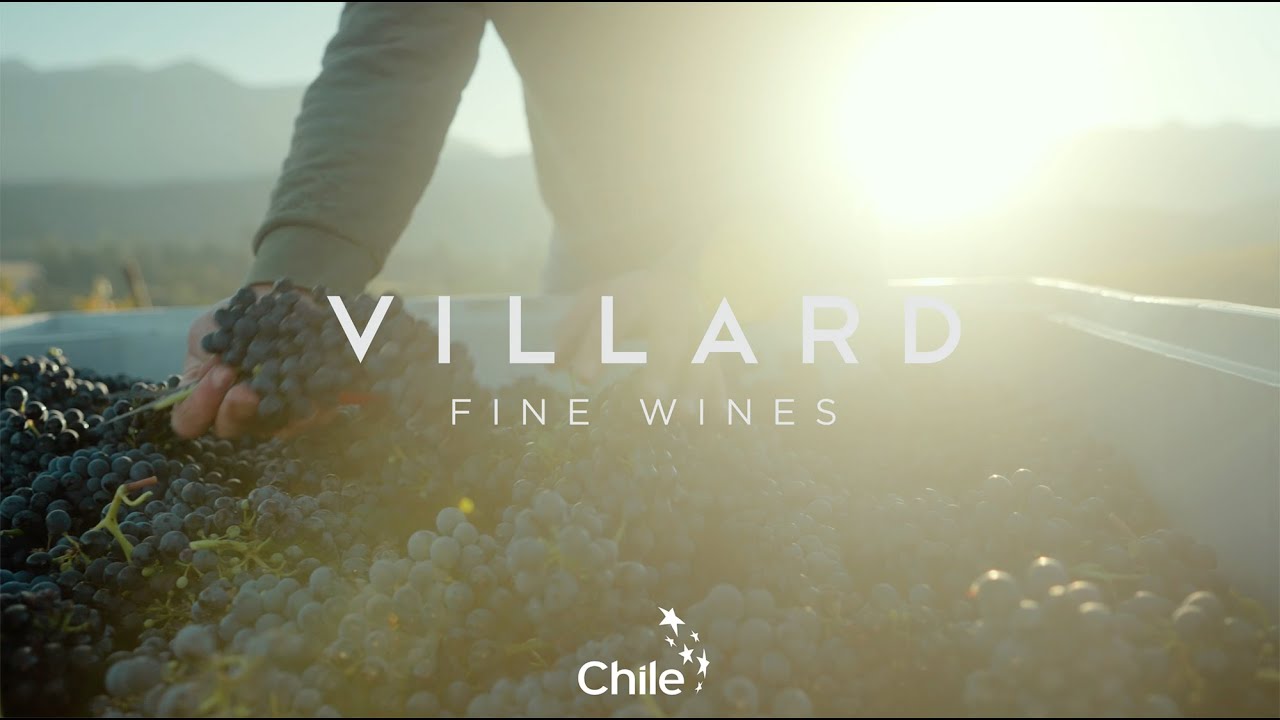 Descubre Villard Fine Wines - YouTube