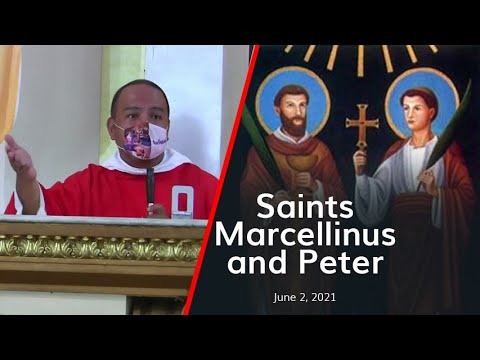 "A true Christian is pro-life" - Homily of Fr. Iohannes Jeremy Ma ...