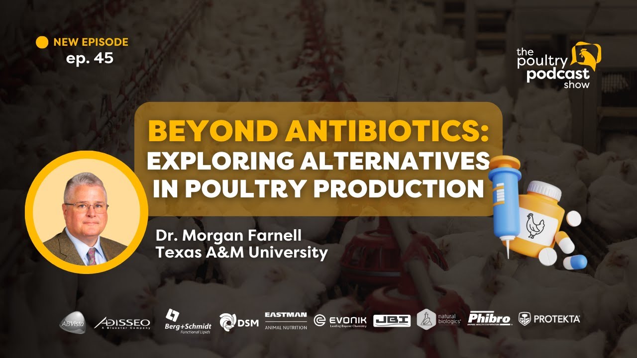 Dr. Morgan Farnell: Alternatives in Poultry Production | Ep. 45 - YouTube