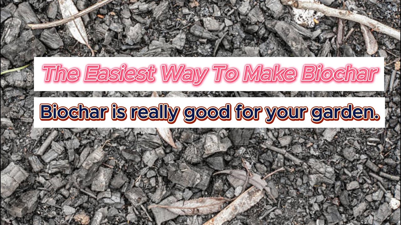 [ DIY ] BIOCHAR | BOOST YOUR GARDEN WITH HOMEMADE GOODNESS | TEACHER ...