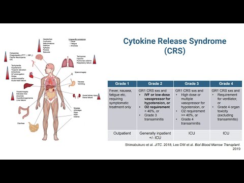 #UromigosLive24 T Cell Directed Therapy Panel Part 1: T Cell Engagers ...