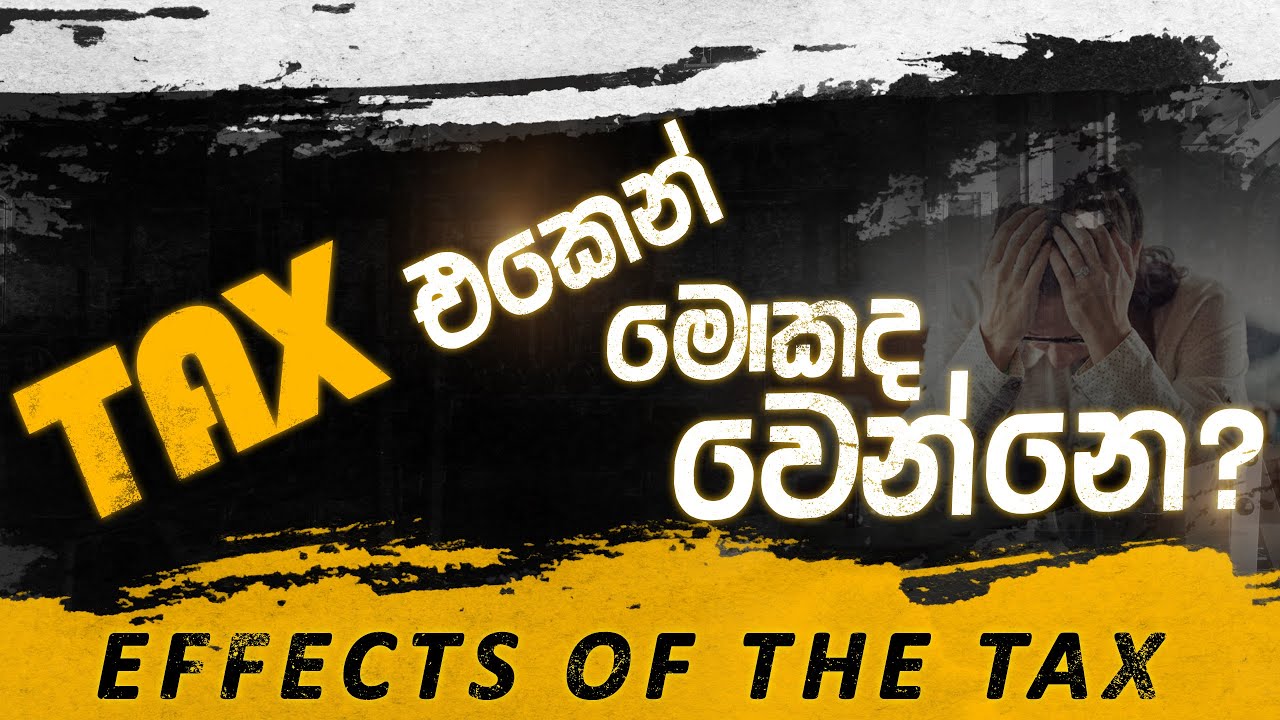 TAX එකෙන් මොකද වෙන්නෙ? | Effects of the TAX | TAX in Economics #tax # ...