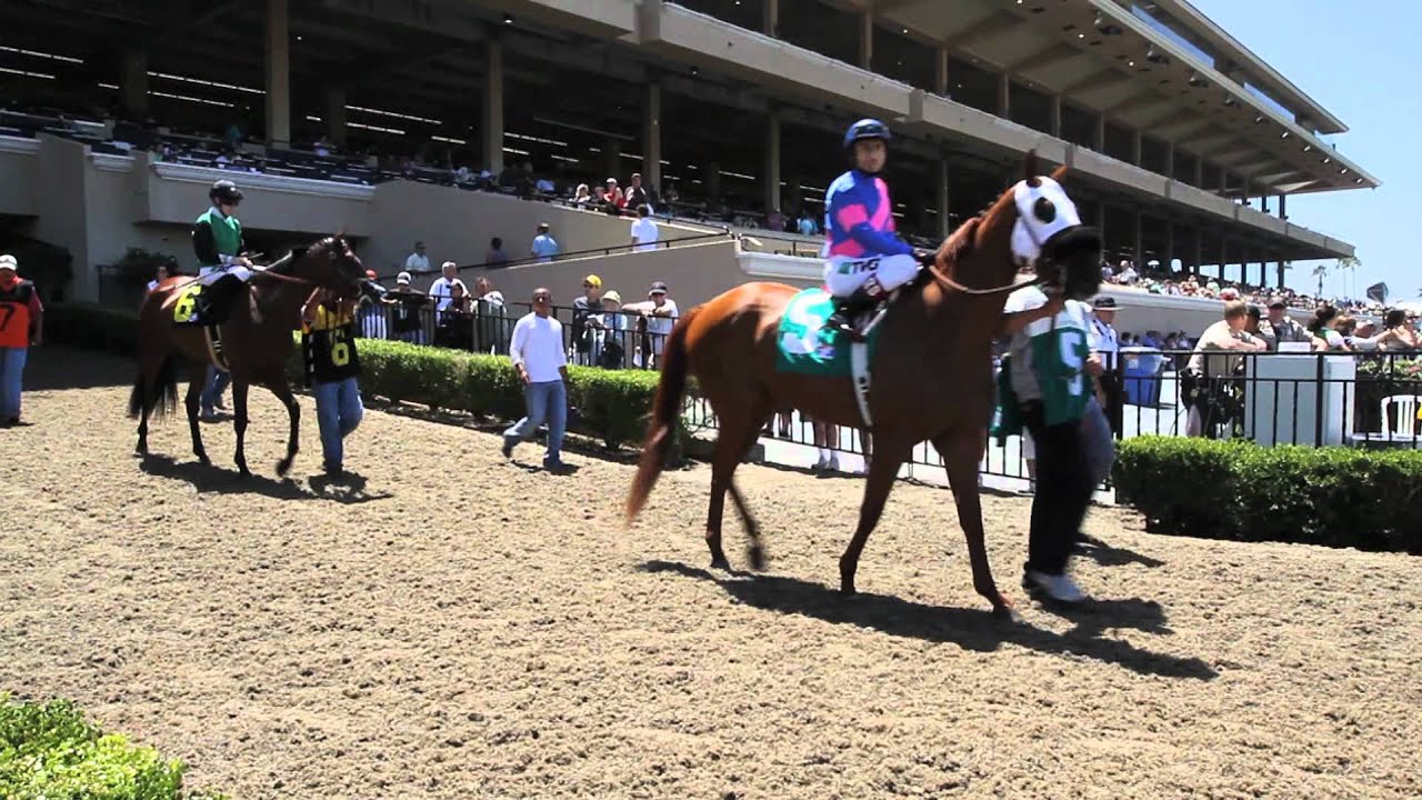 Where the Turf Meets the Surf: Del Mar Thoroughbred Racing - YouTube