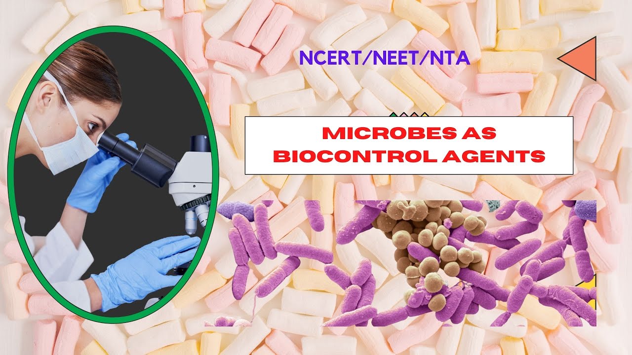 MICROBES AS BIOCONTROL AGENTS - YouTube