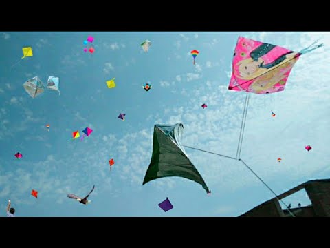 kite catching || how to catch big kite || kite catch || kite🔥 patang ️ ...