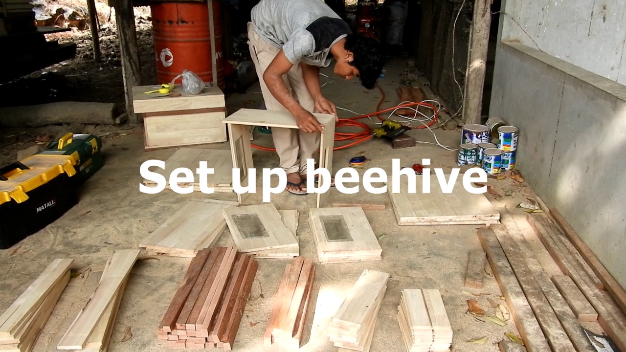 How to set up beehive| Setting up beehive| Beehive app - YouTube