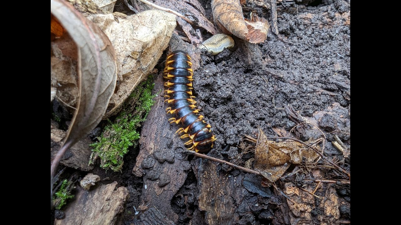 May 16, 2023 Good Natured Hour - YouTube