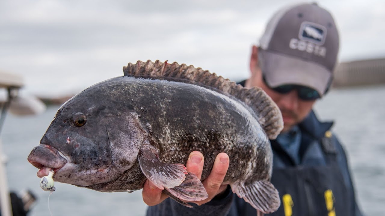 The Benefits of Spinning Tackle for Tautog Fishing - YouTube