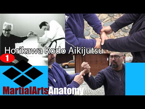 Рассматриваем мастеров айкидзюцу Kodo Horikawa -1 - YouTube