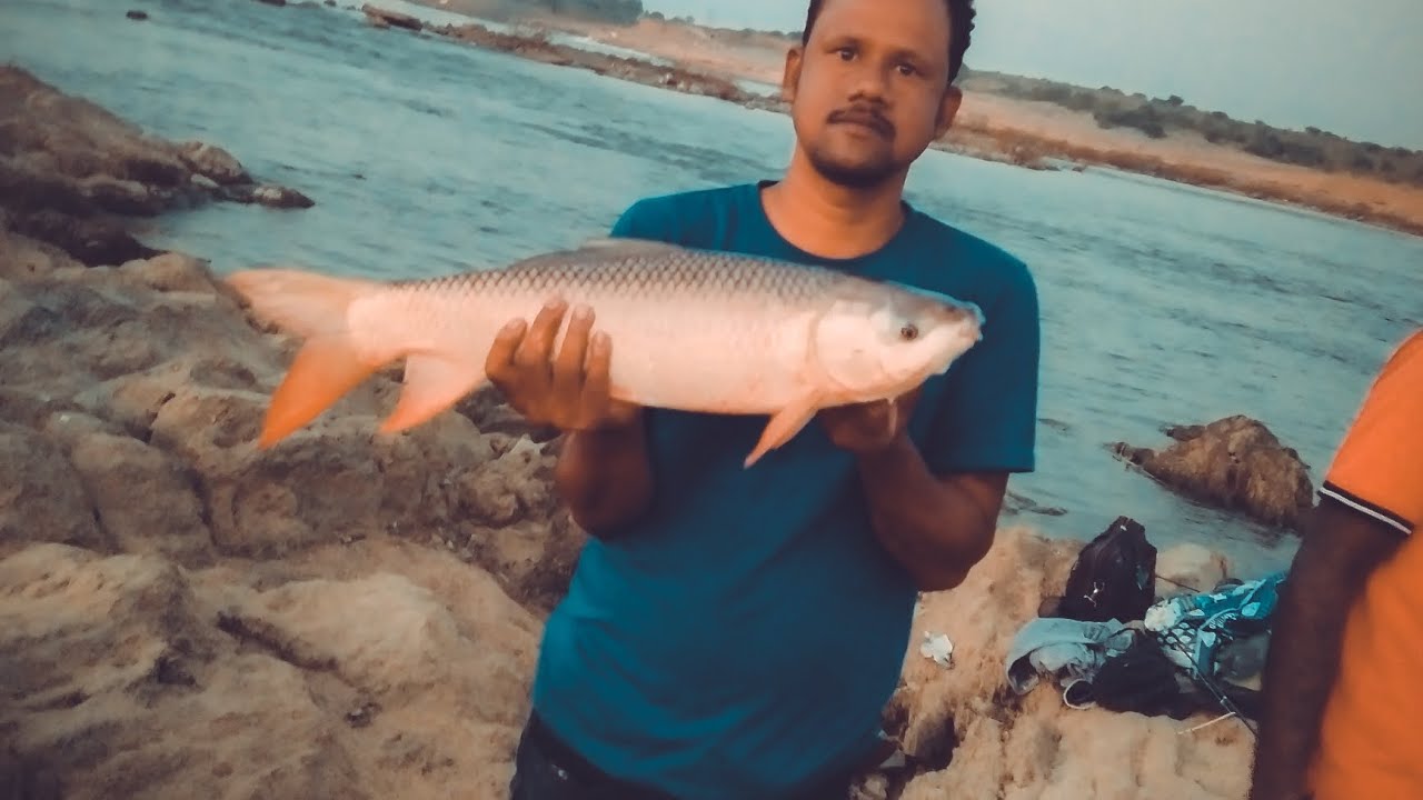 ***gose khurd dam "at" rahu fishing 2 kg 5 kg saij ***part -1 - YouTube