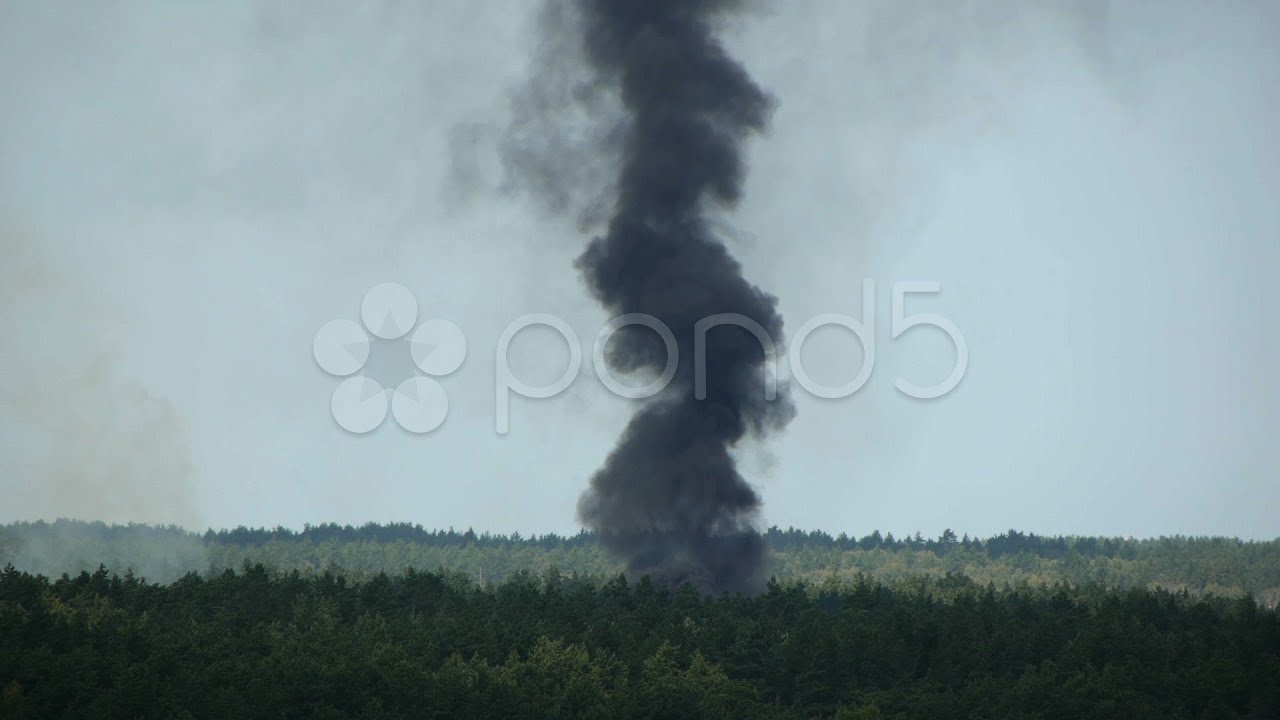 Hd - Big Smoke In The Woods_Scene2. Stock Footage - YouTube