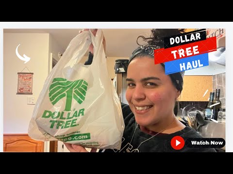 Small Dollar tree haul - YouTube