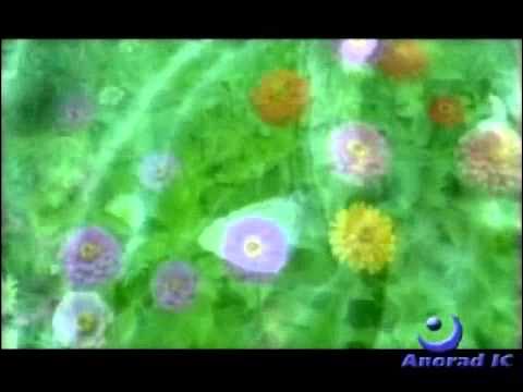 Enhzul Huleesen uchral - YouTube