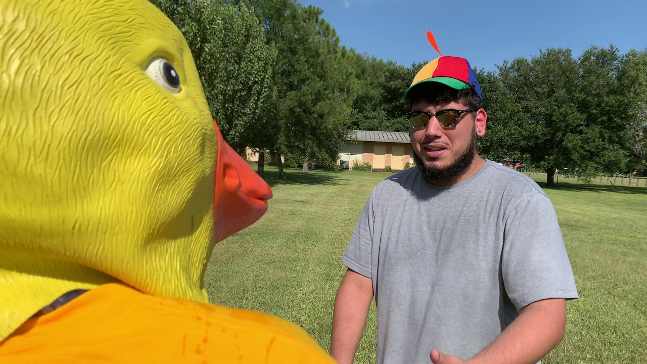 The Duck Song (2019 reboot) - YouTube