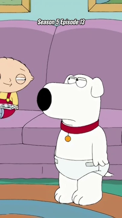 Stewie roasts Brian#shorts #familyguy #briangriffin #cycling #funny #stewie #familyguythemesong ...