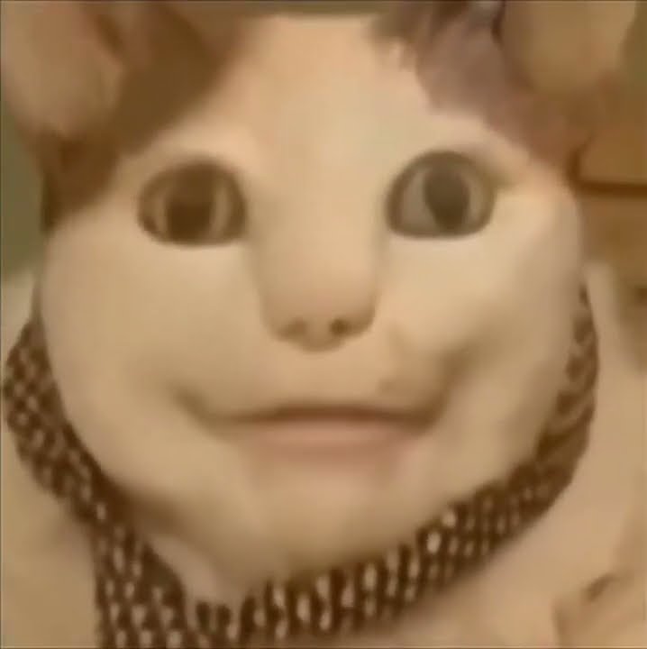 Boo! Did I scare you? - YouTube
