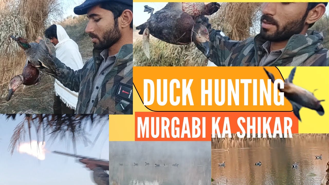 Ultimate Duck Hunting Adventure | Murgabi Ka Shikar in Pakistan ...