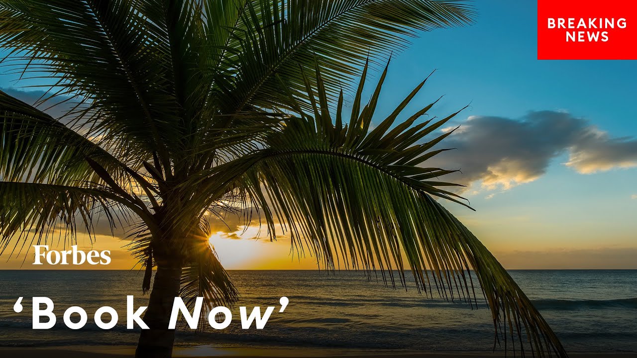 'Book Now': Forbes Travel Guide Gives Best Summer Vacation Tips for ...