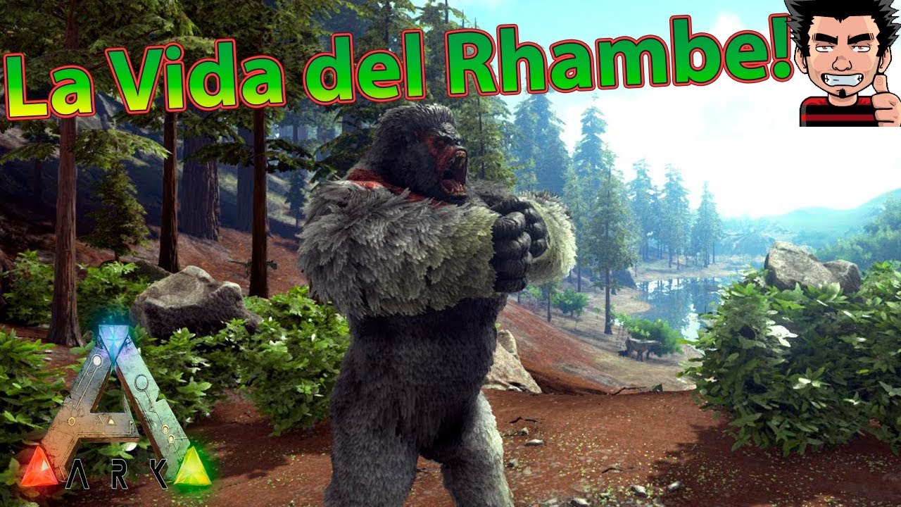ARK LA VIDA DEL RHAMBE EL SEÑOR TORTAS MINI KING KONG MEGAPITHECUS ...
