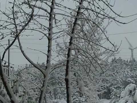 Mutlukent - Gebze 21 Aralık 2012