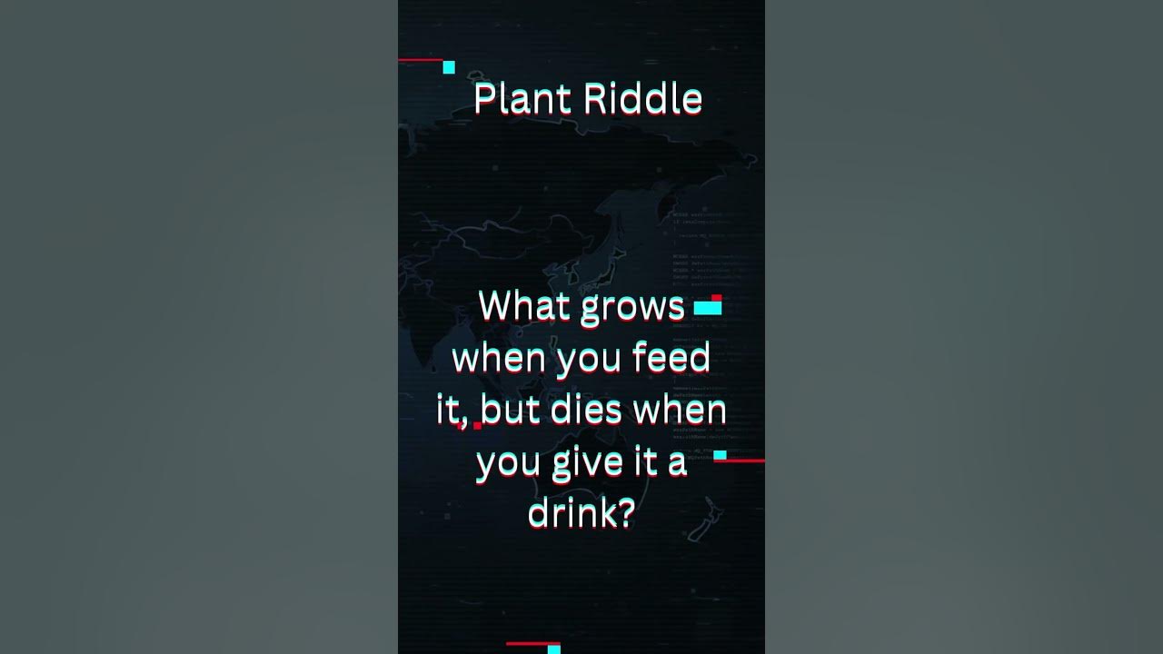 Plant riddle #plants #riddles #riddleshorts #shorts #fyp #foryoupage # ...