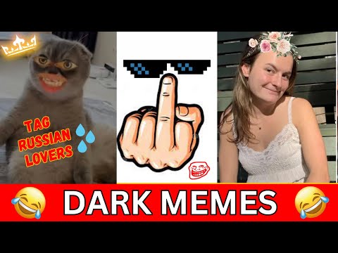 Dark Memes | Cat thug life nodes.....| Meme Melody 2.0