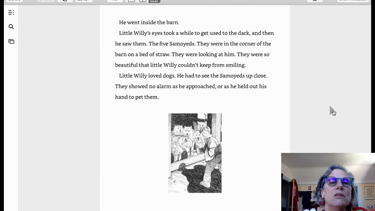 Chapters 7 & 8 Stone FOx - YouTube