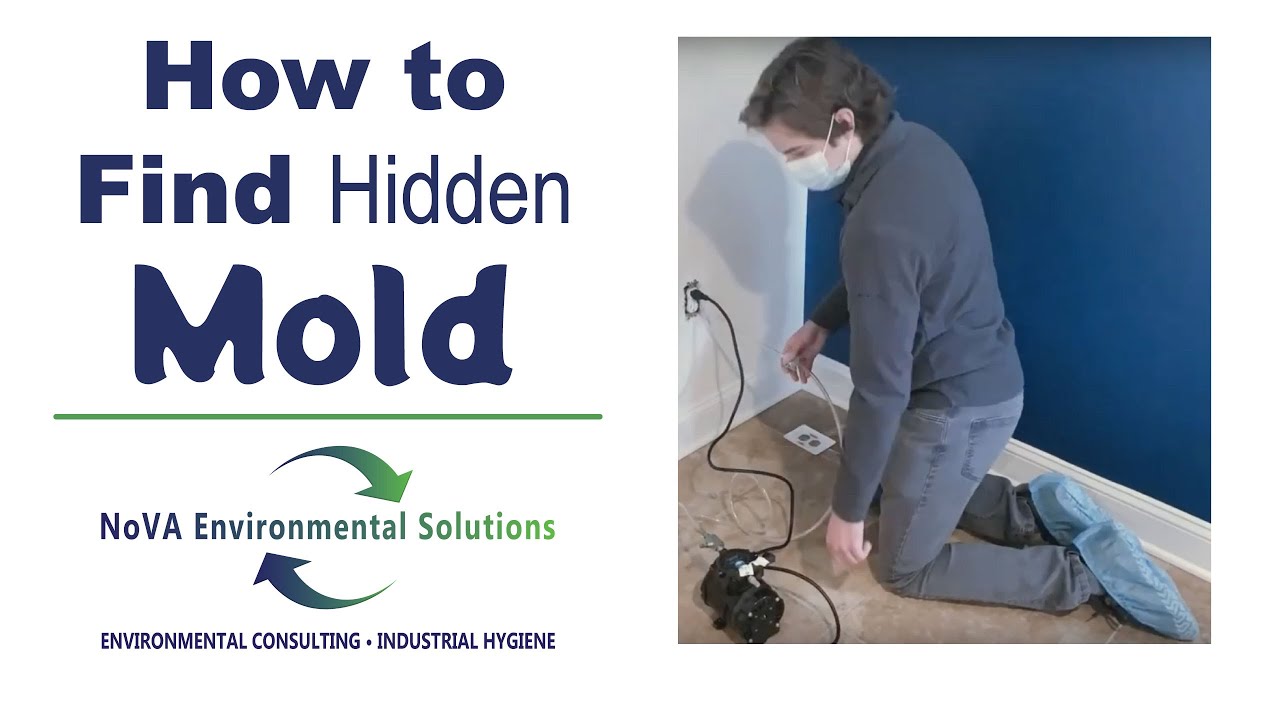 How to find hidden mold. - YouTube