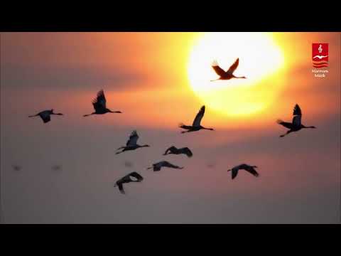 Can Senindir | Eşref Ziya