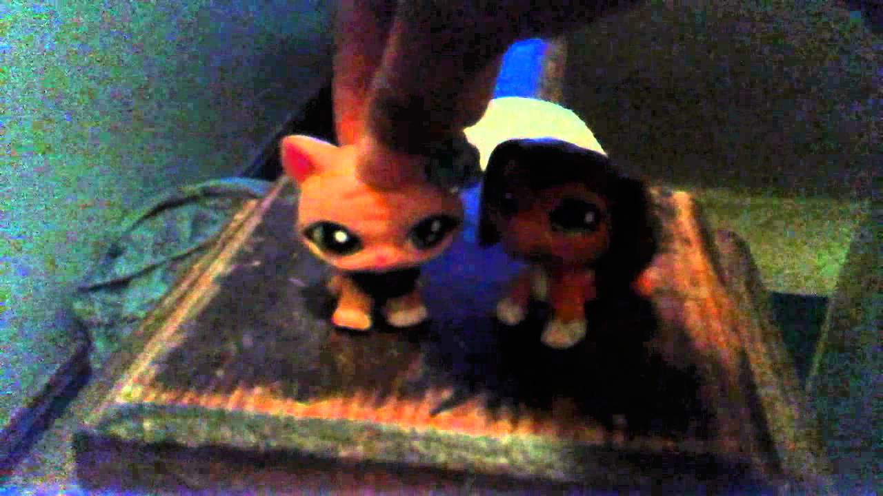 I'M a new lps video maker - YouTube