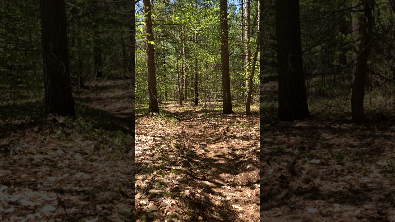 Scorra trails - YouTube