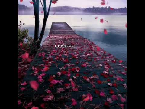 WhatsApp üçün yeni video və mahnı 2020 mp3