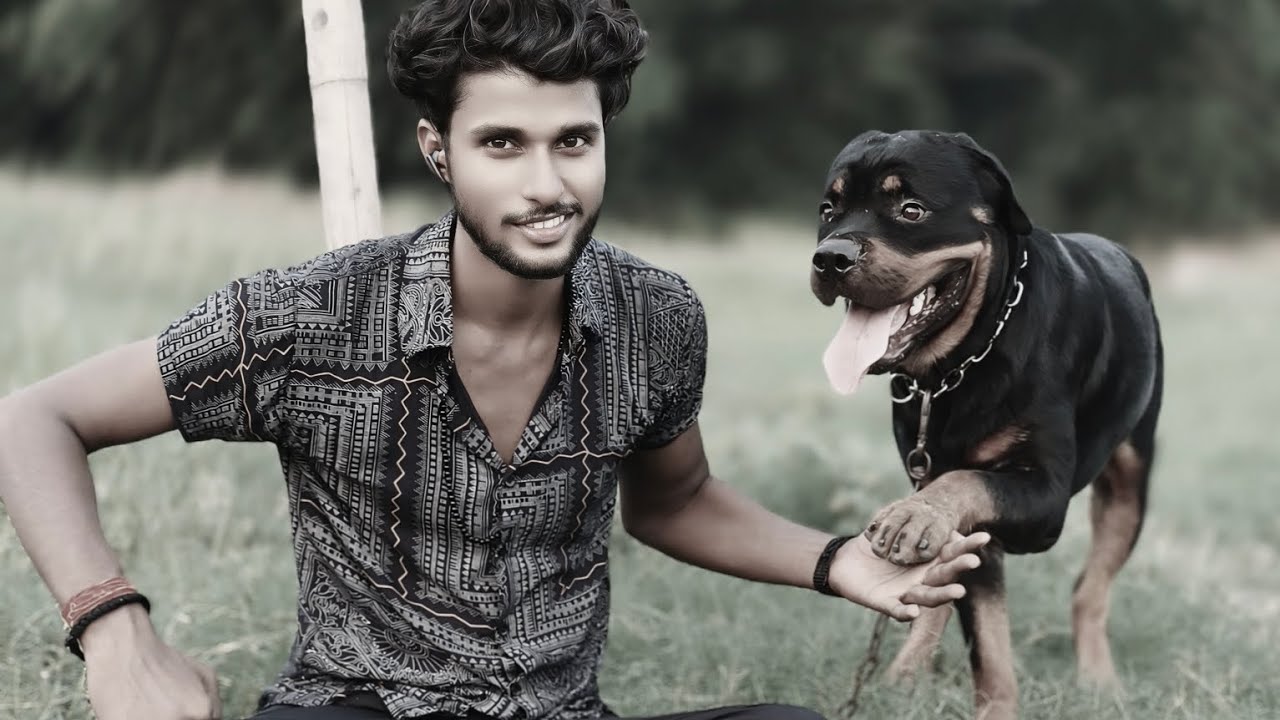 rottweiler playing // @raj_dogs_ktr #rottweiler #dogshorts #dogvideos # ...