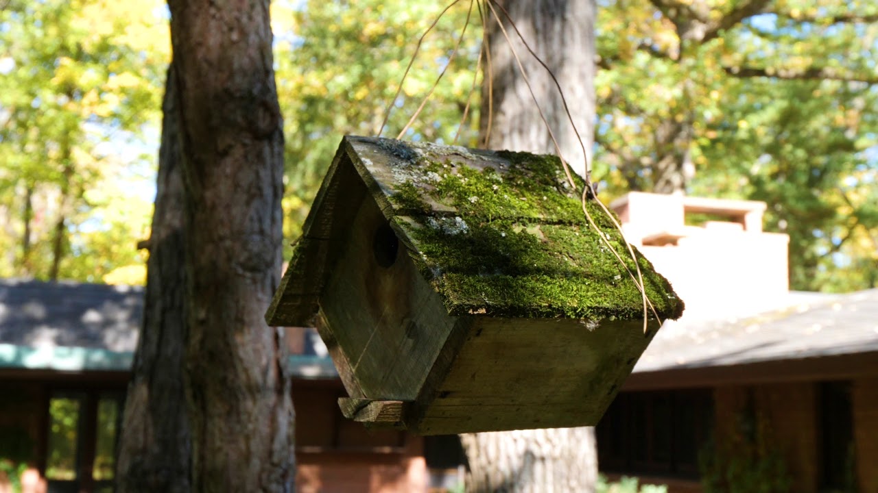 Frank Lloyd Wright's: Carr House - 1544 Portage Run, Glenview, IL 60025 ...