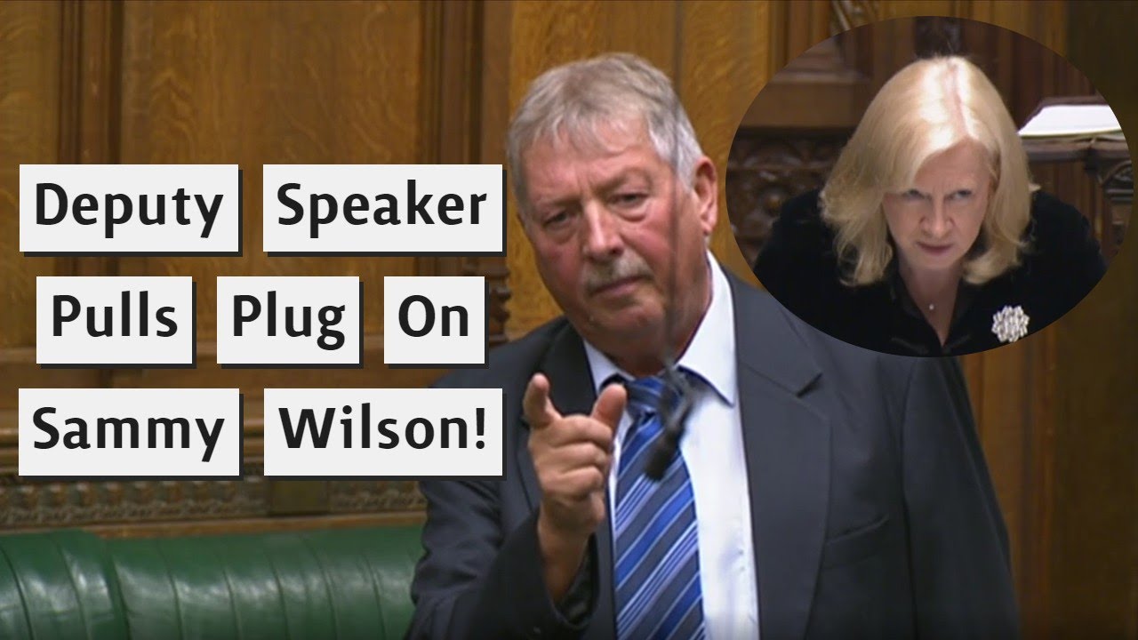 DUP Sammy Wilson's Boring Rant Stopped by Deputy Speaker! - YouTube