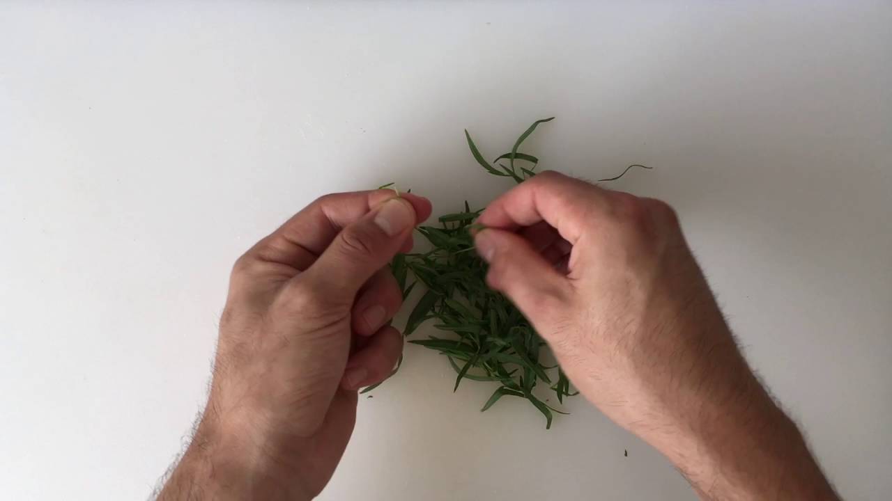 How to Chop Tarragon - YouTube