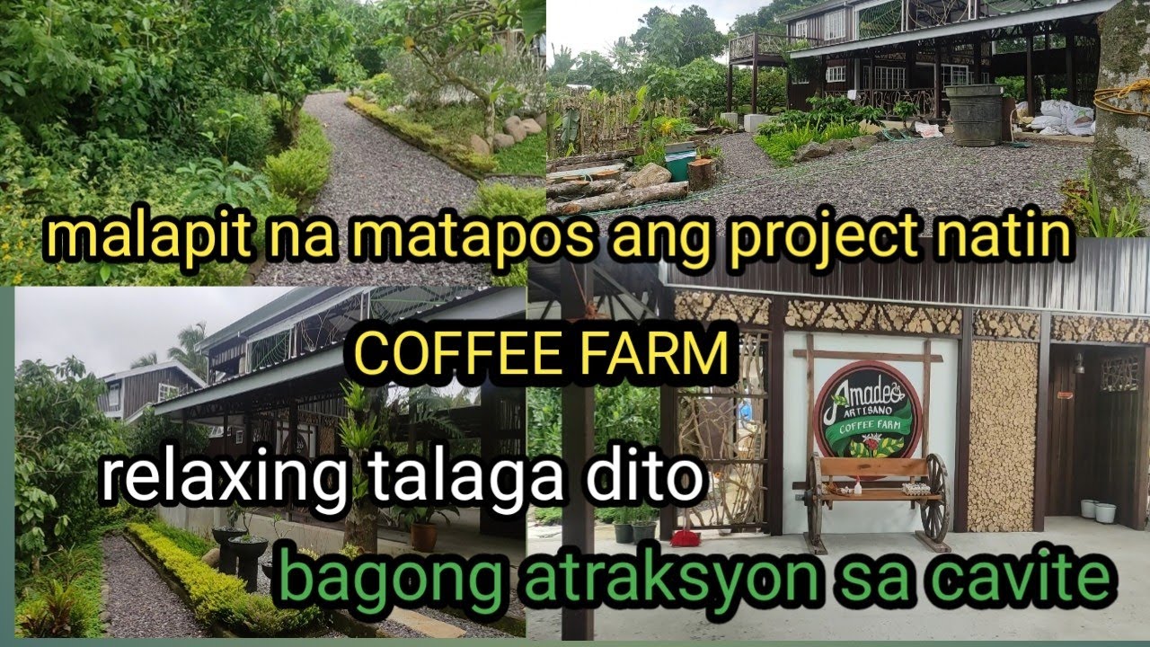project update sa amadeo artisano coffee farm - YouTube