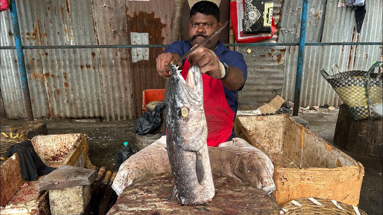 SHEELA FISH 🐟 KASIMEDU SPEED SELVAM AMAZING FISH CUTTING SKILLS # ...