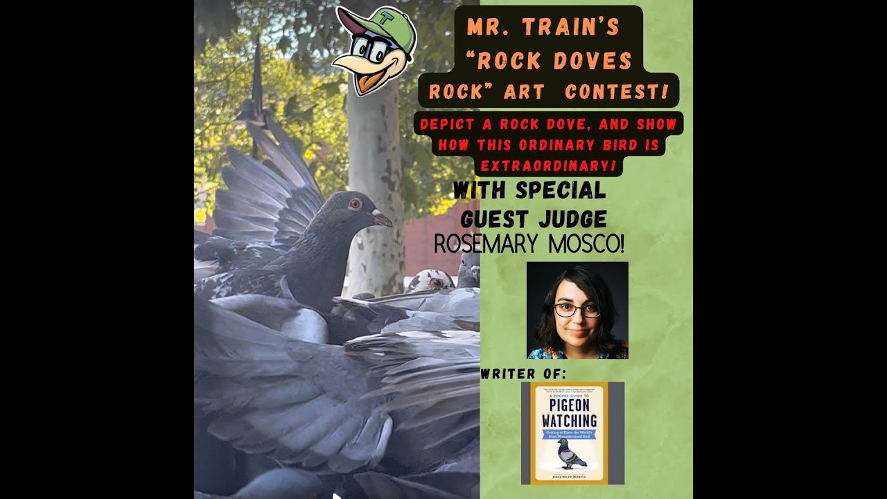 Rock Doves Rock Art Contest - YouTube