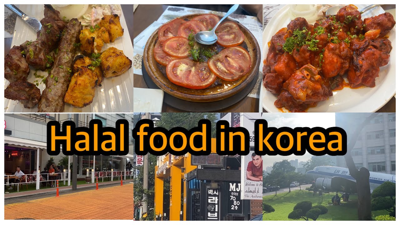 Halal food in korea. Eating dinner in halal restaurant in incheon - YouTube