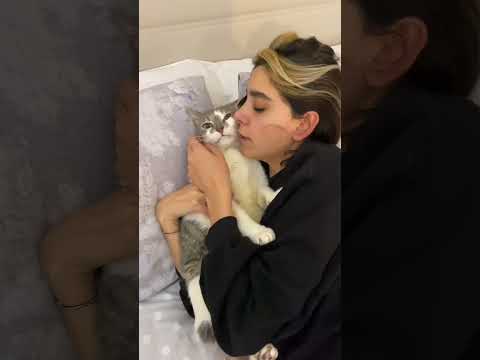 SEVGİDEN KEDİSİNİ ISIRDI 🙂🙂