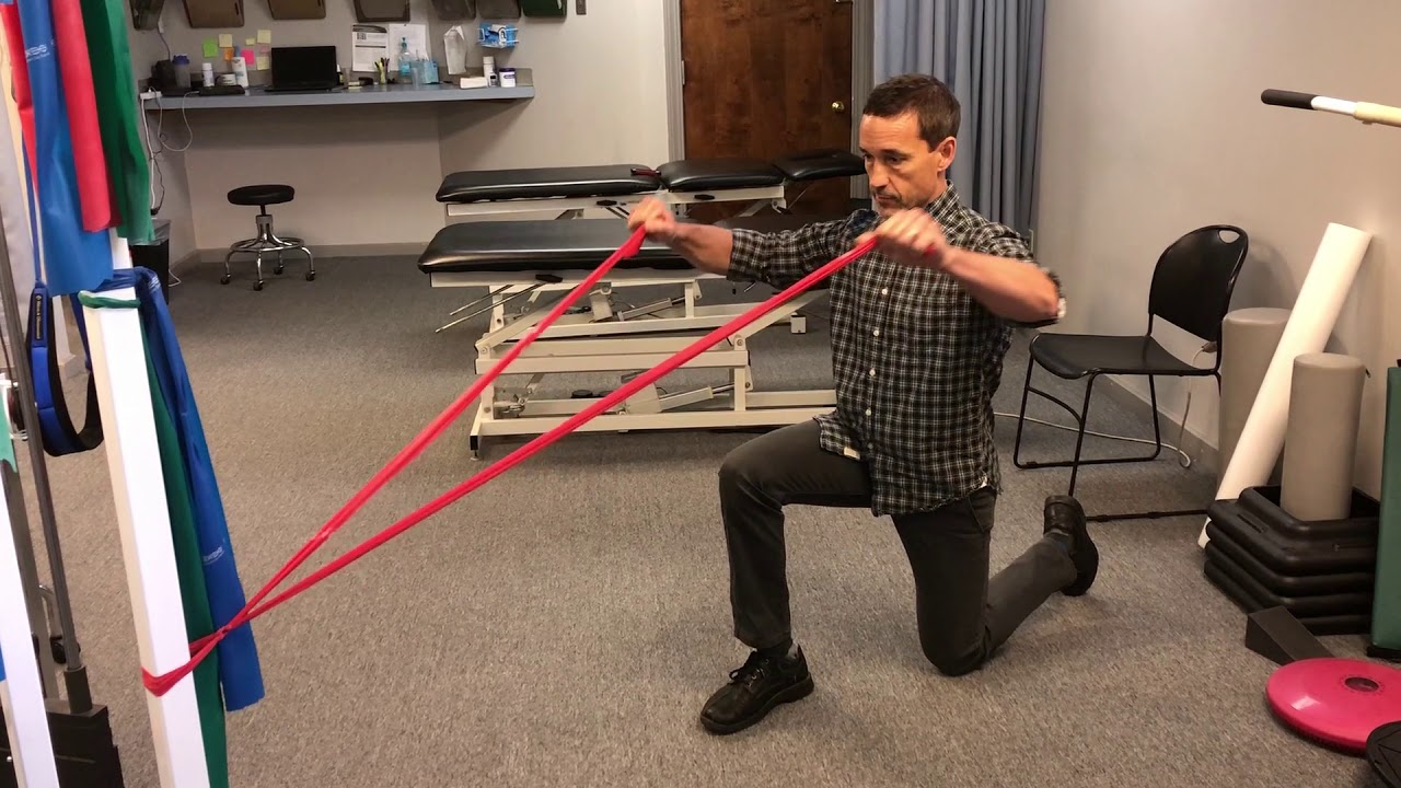 Shoulder & Scapular Stability Combo Exercise - YouTube