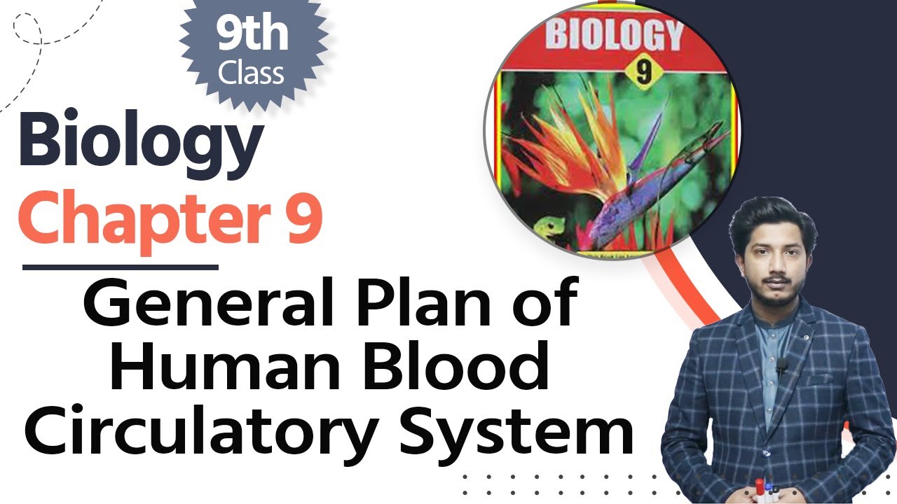 Biology Class 9 Chapter 9 - Class 9 Biology Ch 9 - General Plan of ...