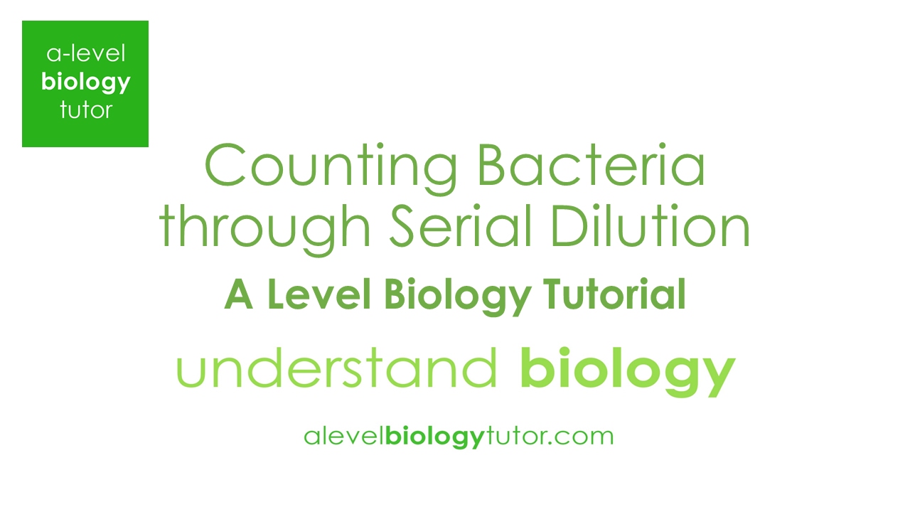 Concept of Serial Dilution to count bacteria numbers A-level Biology ...