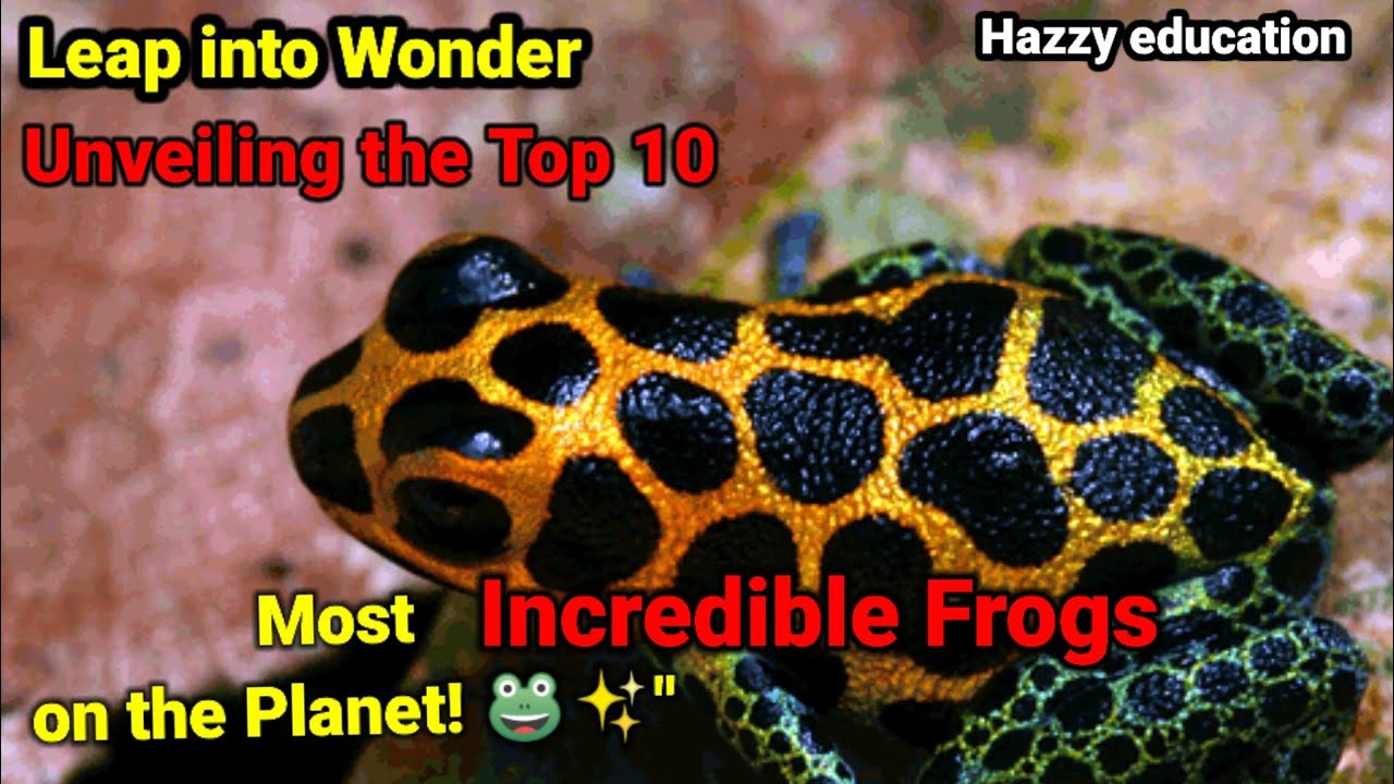 "Leap into Wonder: Unveiling the Top 10 Most Incredible Frogs on the ...