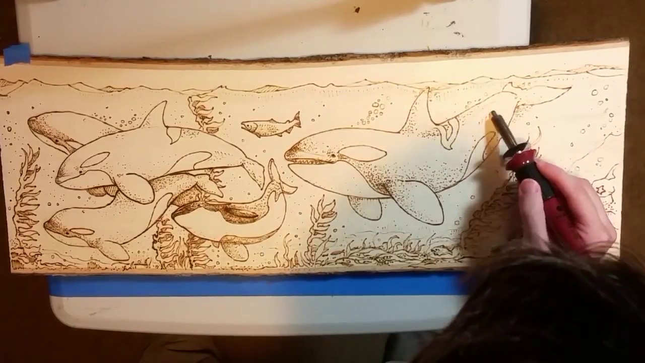 Orca Pod - Pyrography Time Lapse - YouTube