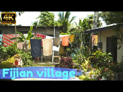 Traditional Fijian birthday celebrations & tour of Viseisei Village ...